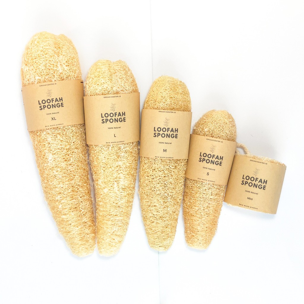 Jual Loofah Sponge Pad Gambas Oyong Kering Alami Spons Sabut Cuci ...