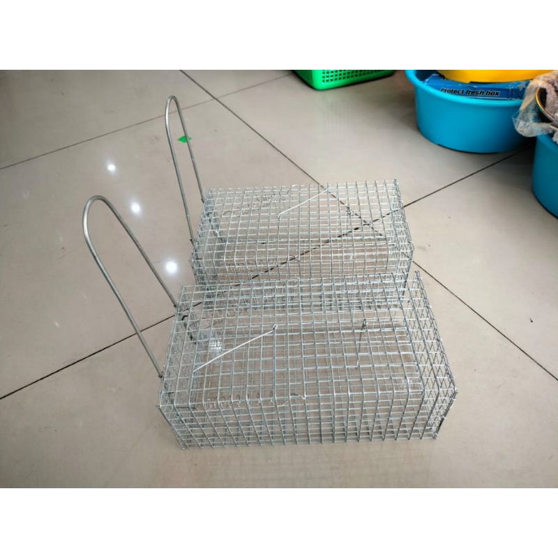 Jual kandang tikus / perangkap tikus besar | Shopee Indonesia