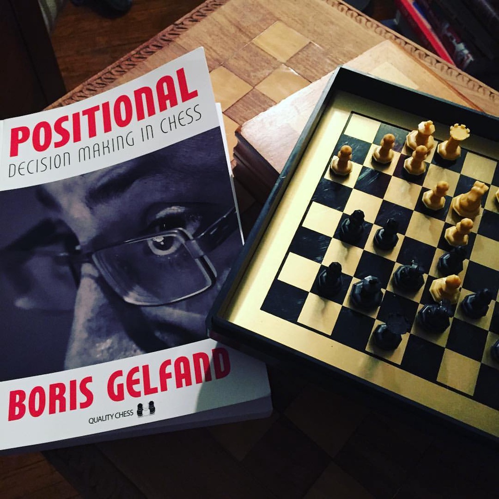 Jual Buku Catur Positional Decision Making in Chess by Boris Gelfand ...