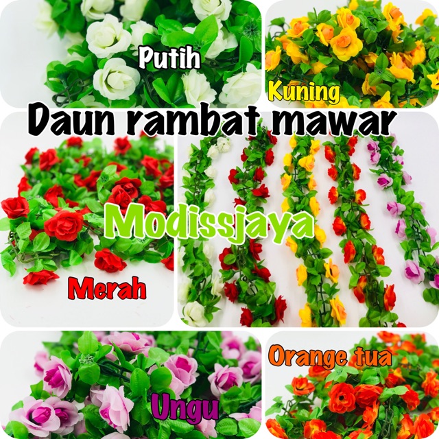 Jual Bunga rambat mawar | Shopee Indonesia