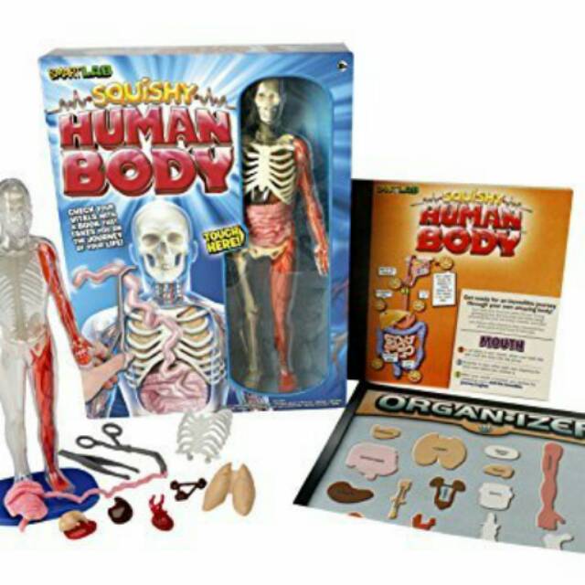 Jual Squishy Human Body | Shopee Indonesia