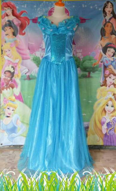 Jual Princess Cinderella Butterfly Dewasa/Baju Kostum Princess ...