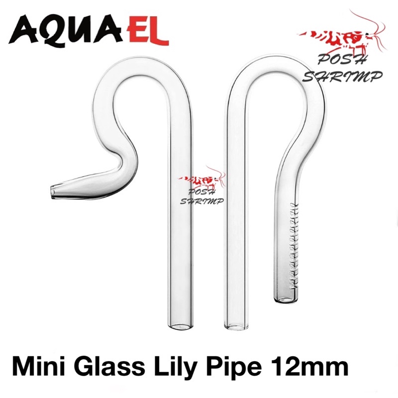 Jual Mini Glass Lily Pipe Inflow Outflow 12/16 12mm | Shopee Indonesia