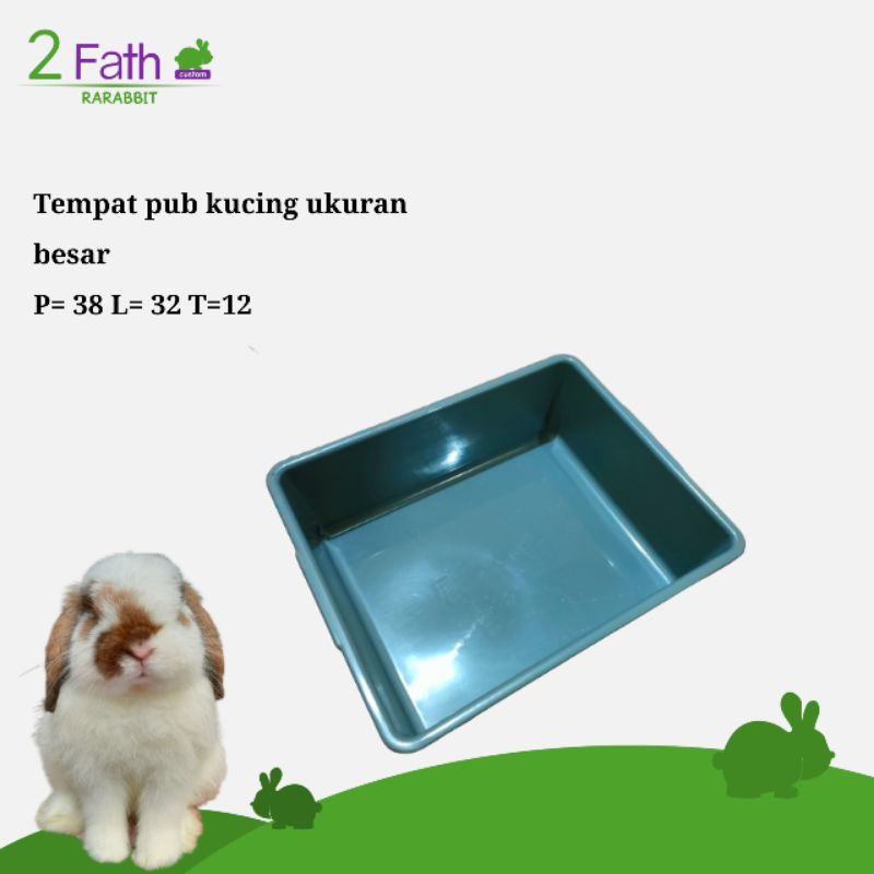 Jual Box pasir Litterbox kotak hidroponik untuk pub kucing | Shopee ...