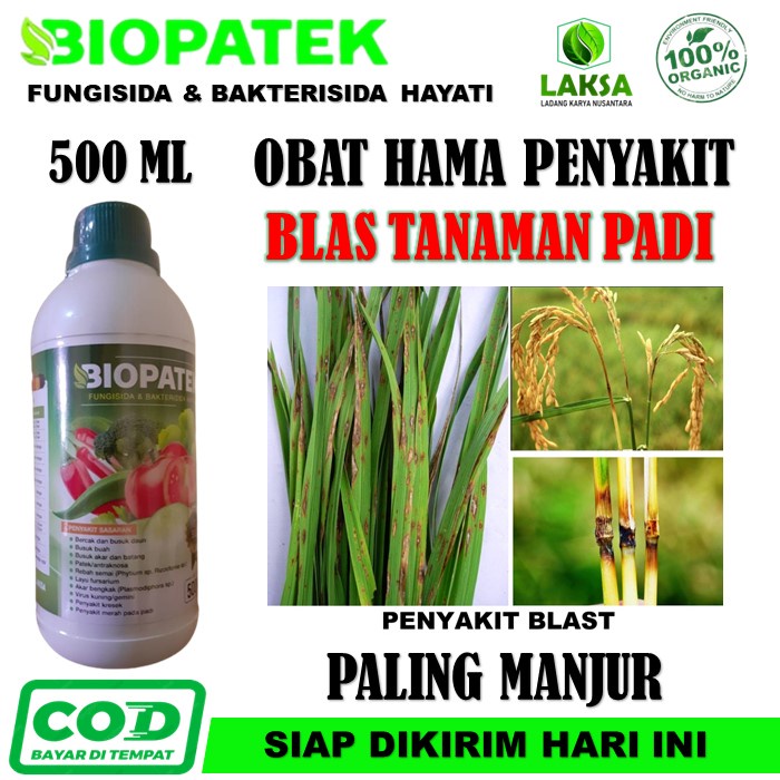 Jual [MURAH BANGET] BAKTERISIDA BIOPATEK 500 ML Obat Blas Padi - Obat Semprot Atasi Penyakit ...