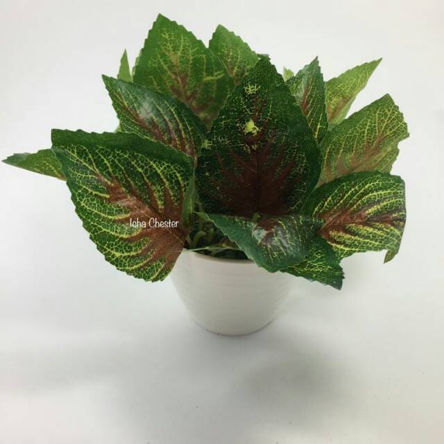 Jual Daun plastik tanaman plastik daun artificial bunga plastik bunga ...