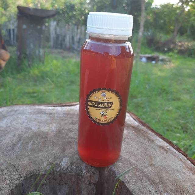 Jual Madu Trigona 250 ml | Shopee Indonesia