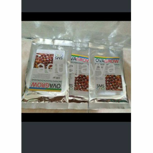 Jual Ovagrow higt qualiti vitamin E untuk induk ikan ripack 100gr ...