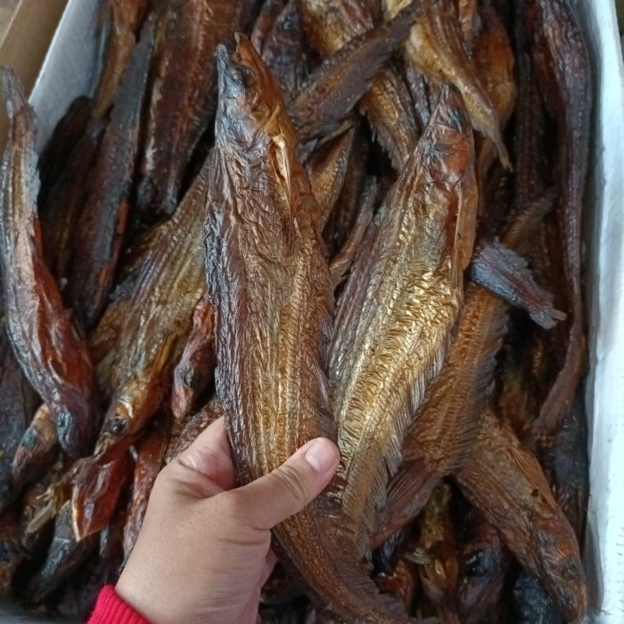 Jual Ikan Asap - Ikan Lais Salai (500G) Ikan Asap Kalimantan/Ikan Sale ...