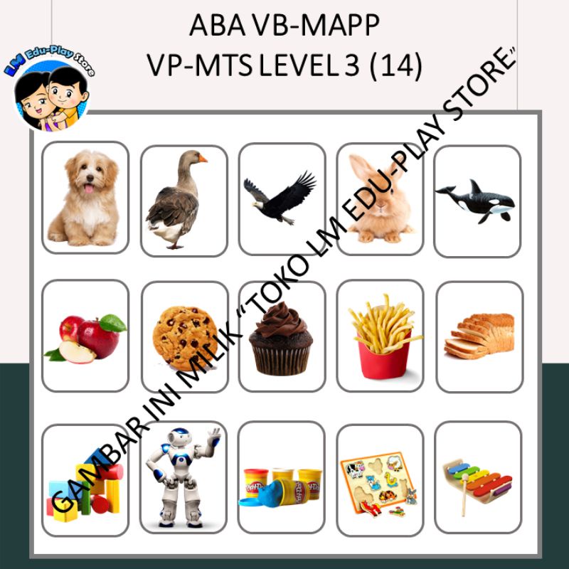 Jual Kartu Belajar ABA VB-MAPP VP-MTS Level 3 (14) | Shopee Indonesia