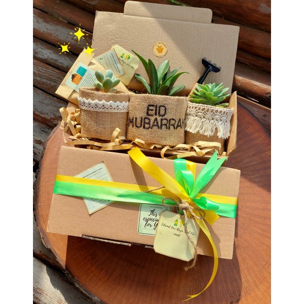 Jual Hampers Premium Custom Tanaman Hias Sebagai Wedding Gift Hadiah ...