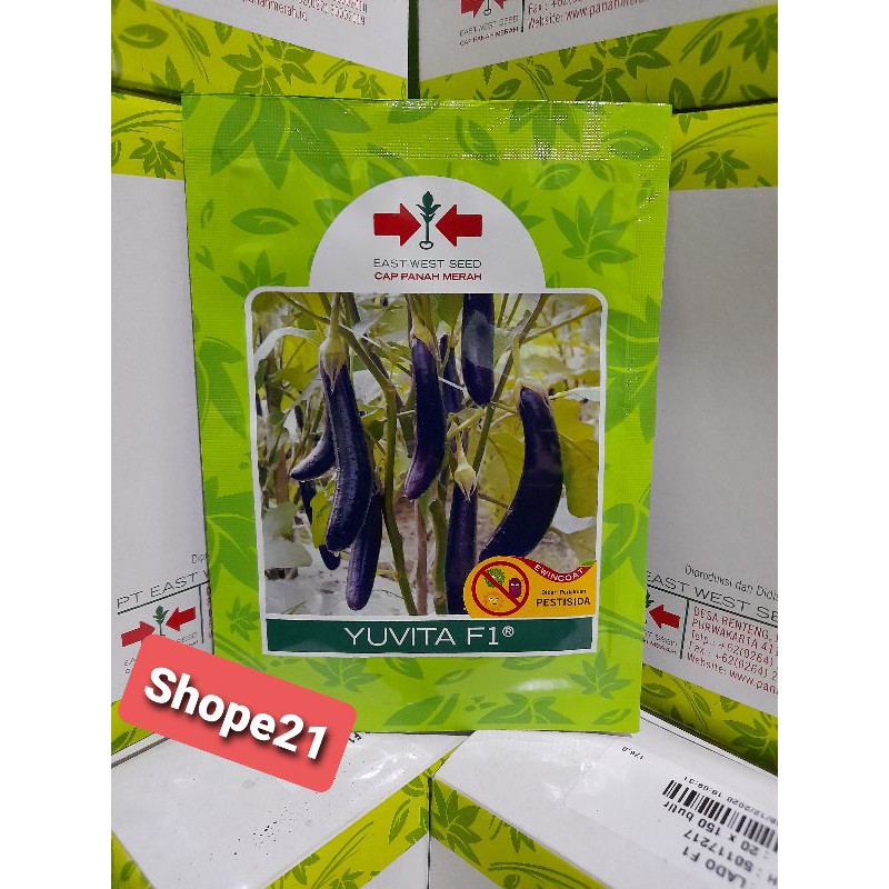 Jual Benih Terong Yuvita f1 isi 1100 biji | Shopee Indonesia