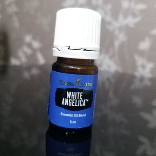 Jual White Angelica Young Living Oil 5 ML | Shopee Indonesia