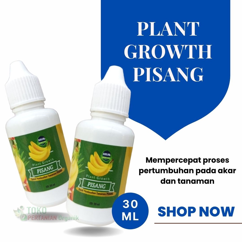 Jual Pupuk Plant Growth pertumbuhan pisang raja, Hormon zat pohon pisang Barangan agar cepat ...