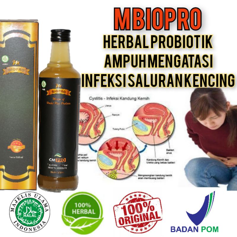 Jual M Biopro Herbal Asli Obat Infeksi Saluran Kencing 380 ml Reaksi ...