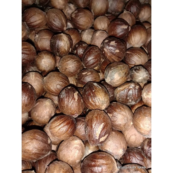 Jual pala kering /1kg | Shopee Indonesia