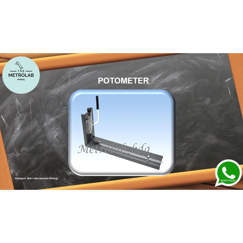 Jual Potometer | Alat Ukur Kecepatan Penyerapan Air oleh Tumbuhan ...