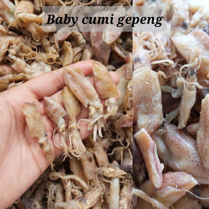 Jual baby cumi gepeng 1kg | Shopee Indonesia