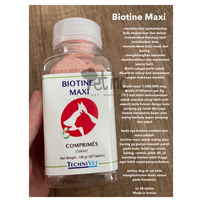 Jual Biotine maxi isi 30 tablet | Shopee Indonesia