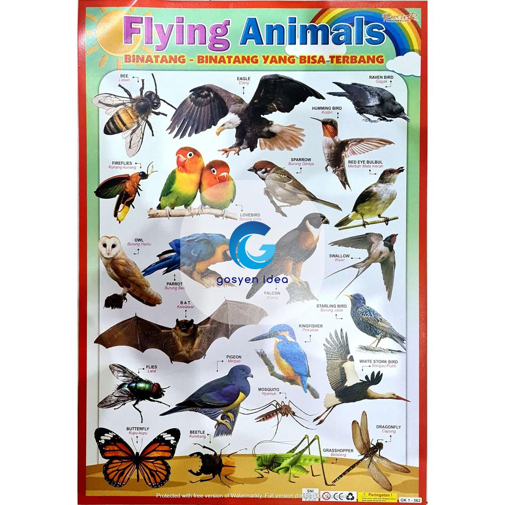 Jual Poster Pendidikan Anak Aneka Jenis Binatang Darat, Laut, Udara ...