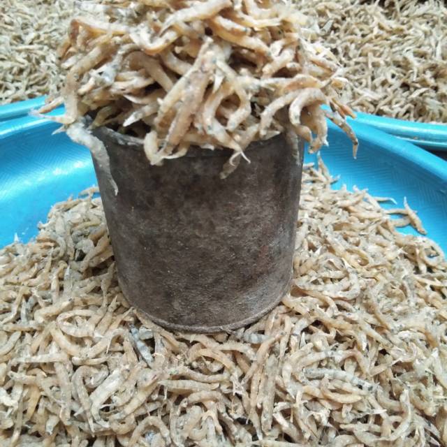 Jual Ikan Penja Kering khas SulBar | Shopee Indonesia