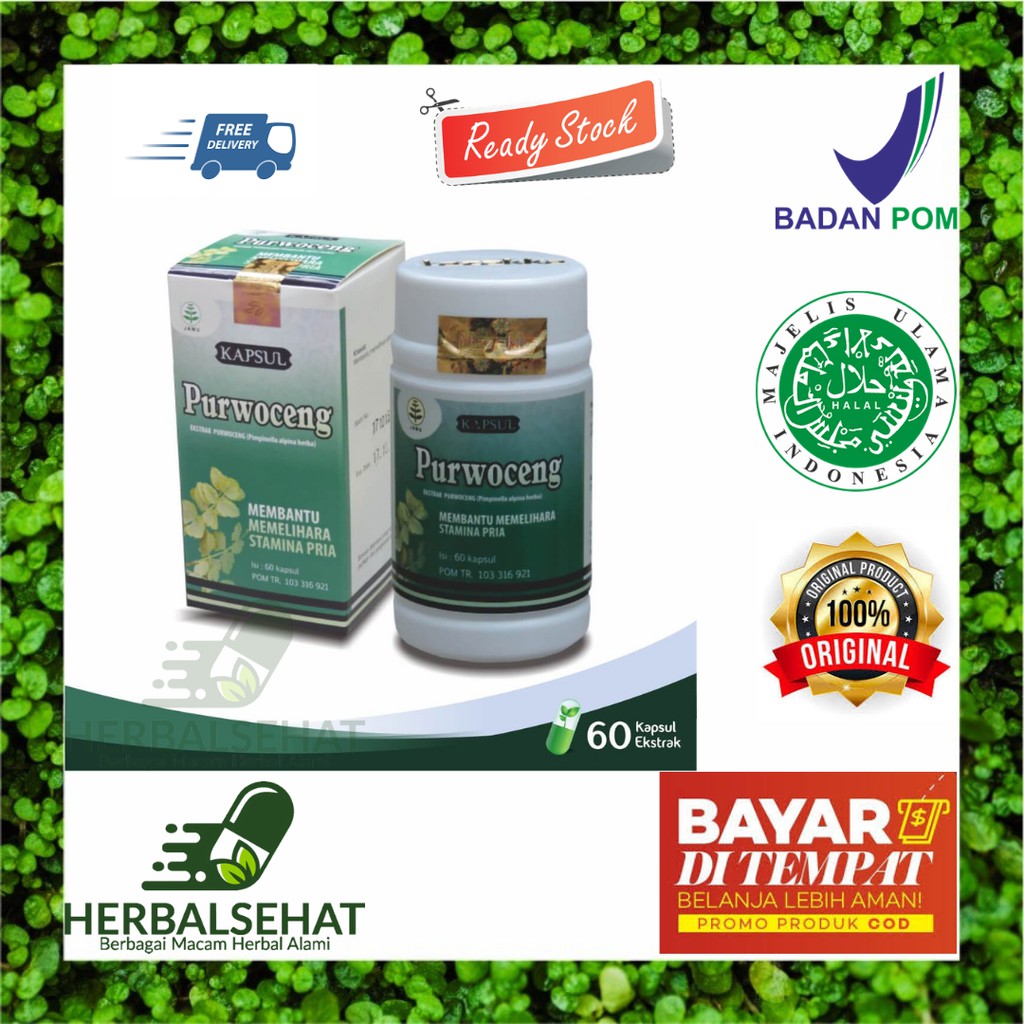 Jual Obat Herbal Stamina Vitalitas Pria Ekstrak Purwoceng Tazakka ...
