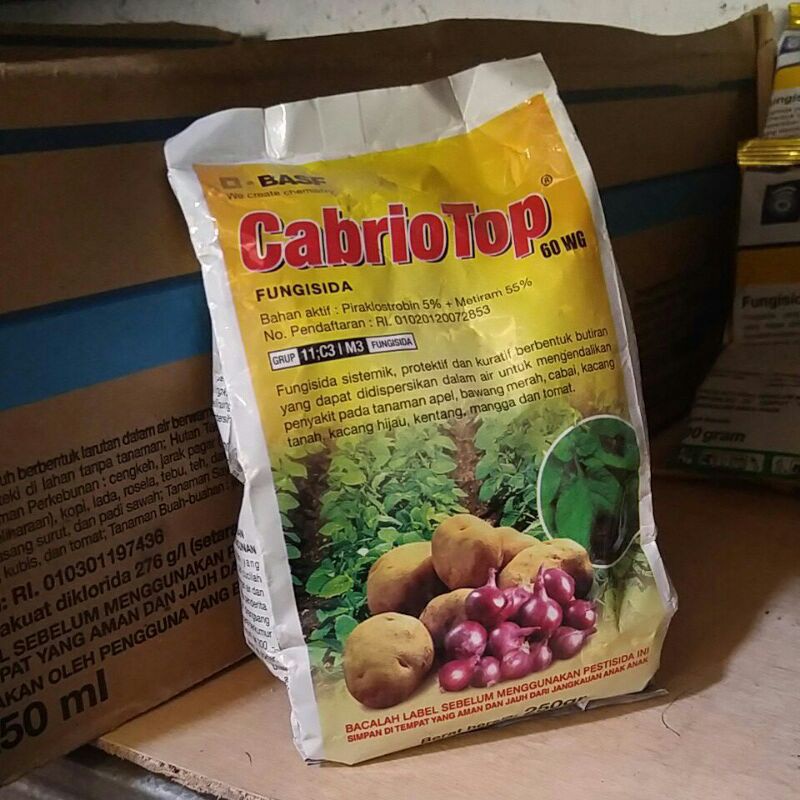 Jual Fungisida Bercak Daun Kuning Cabrio Top 250 gram | Shopee Indonesia