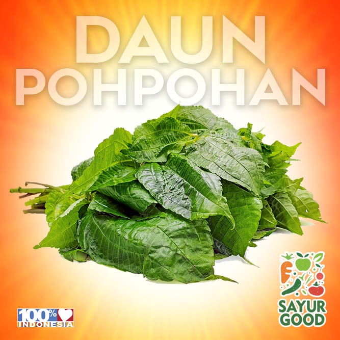 Jual Daun Pohpohan / Pohpohan / Lalap Daun Pohpohan Segar / Ikat ...