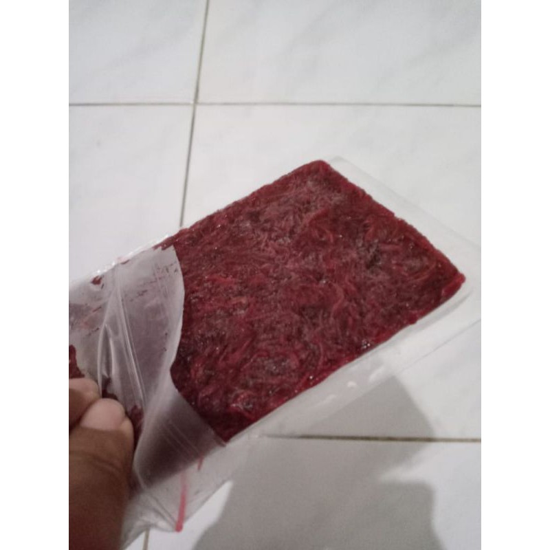 Jual Cacing darah beku kemasan tray 100 gr frozen bloodworm makanan ...