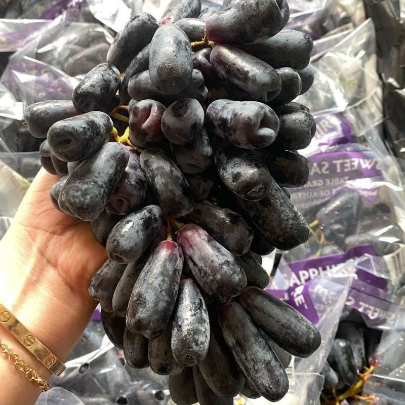Jual Buah Anggur Jari Sweet Sapphire / Moondrops Manis Tanpa Biji ...