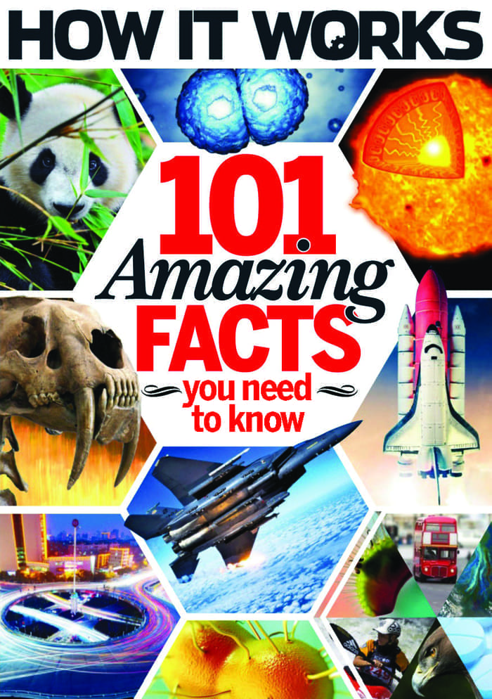 Jual BUKU - How It Works 101 Amazing Facts You Need.. (Imagine | Shopee Indonesia