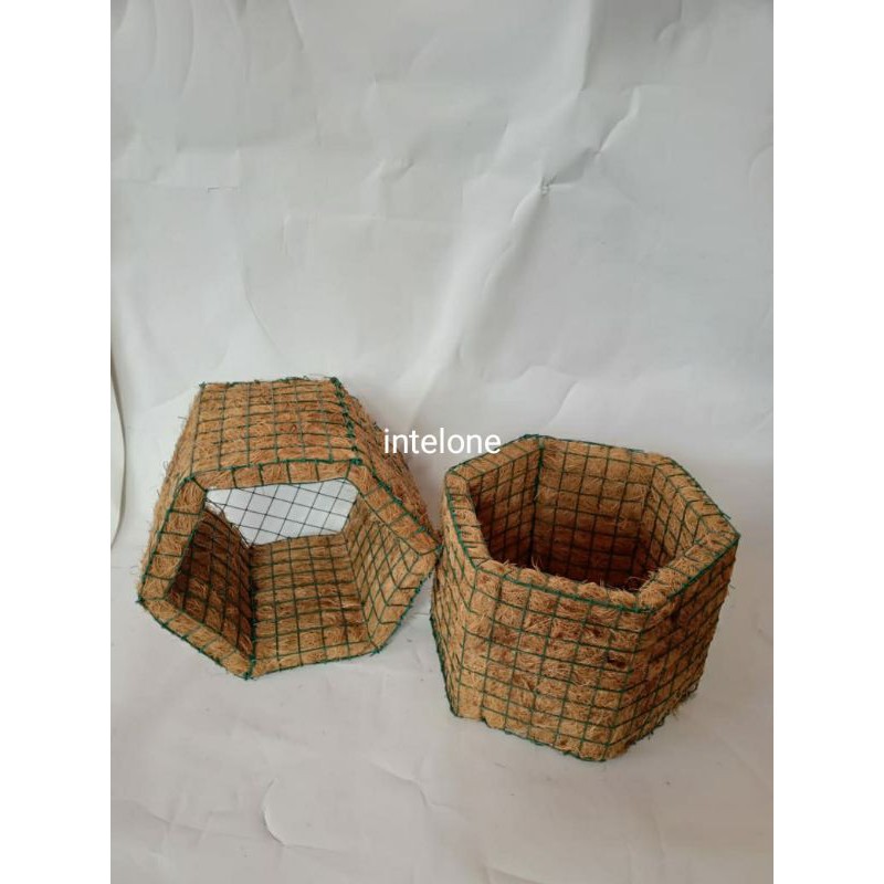 Jual pot segi enam / pot sabut kelapa / pot anggrek / pot dendrobium ...