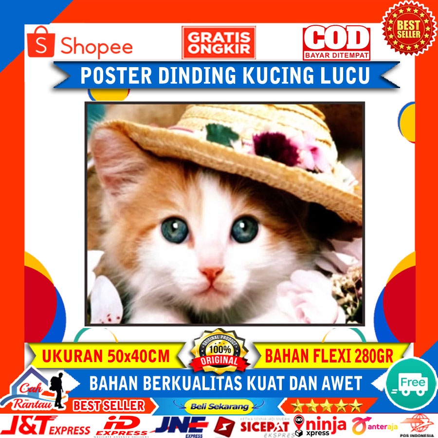 Jual Poster Dekorasi Dinding Kamar Walpaper Dinding Ruang Tamu Gambar ...