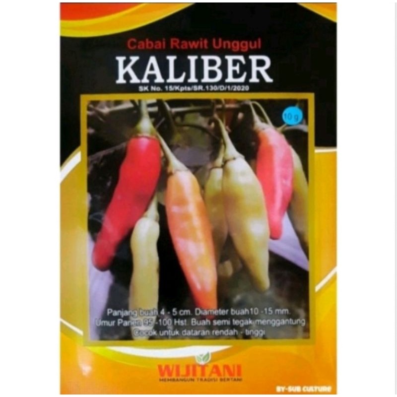 Jual benih cabai rawit unggul KALIBER wijitani 10 gram cabai rawit ...