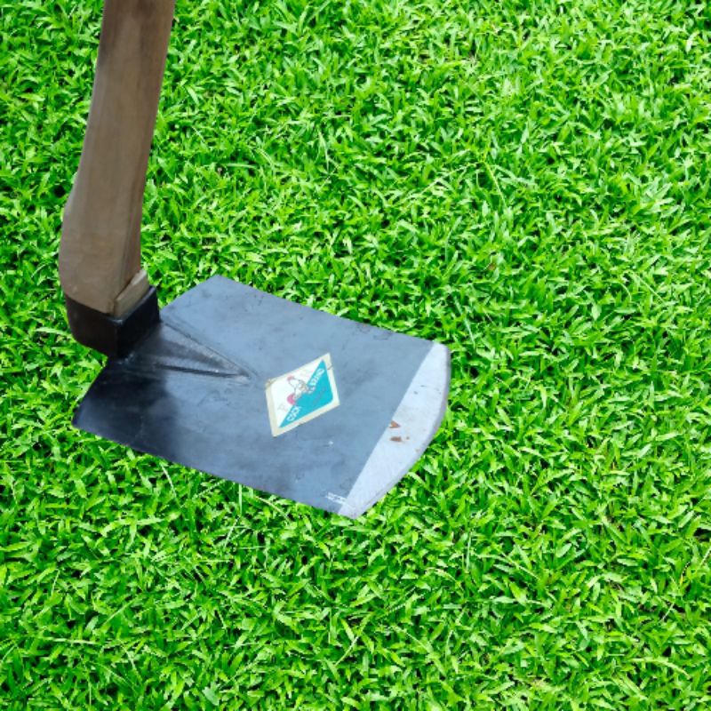 Jual cangkul/pacul cap ayam jago.siap pakai harga murah | Shopee Indonesia