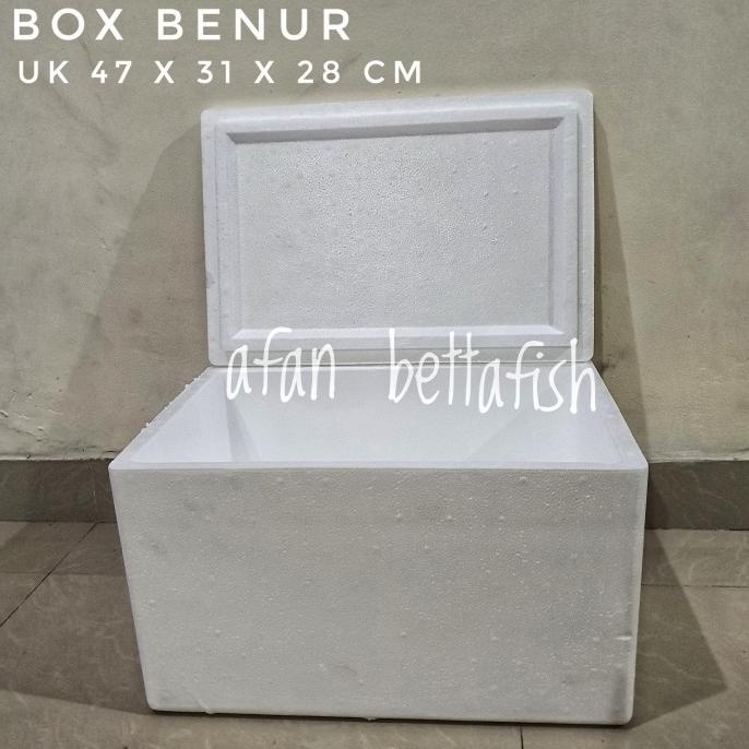 Jual Styrofoam Box Benur / Ikan / Fish / Seafood | Shopee Indonesia