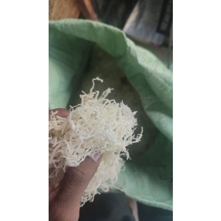 Jual Rumput Laut Kering Kawat 30kg (1 Karung) | Shopee Indonesia