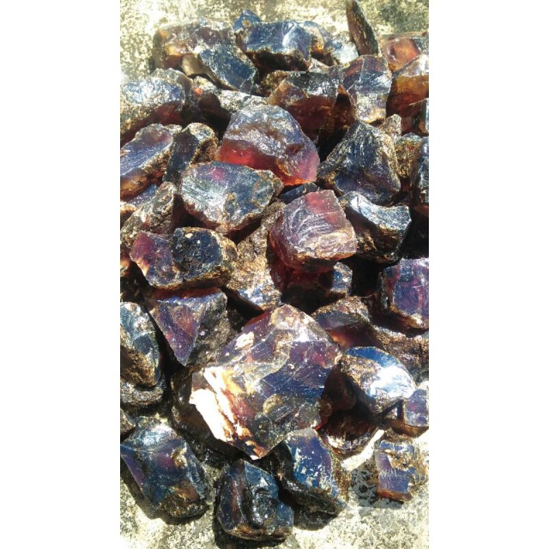 Jual GETAH KATILAYU ASLI | Shopee Indonesia