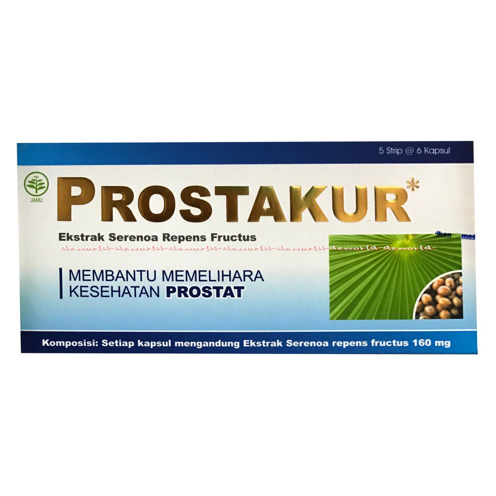 Jual NH - PER BOX PROSTAKUR KESEHATAN PROSTAT ORIGINAL ASLI | Shopee ...