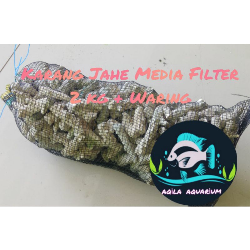 Jual Karang jahe media filter kolam aquarium 2kg pakai waring | Shopee ...