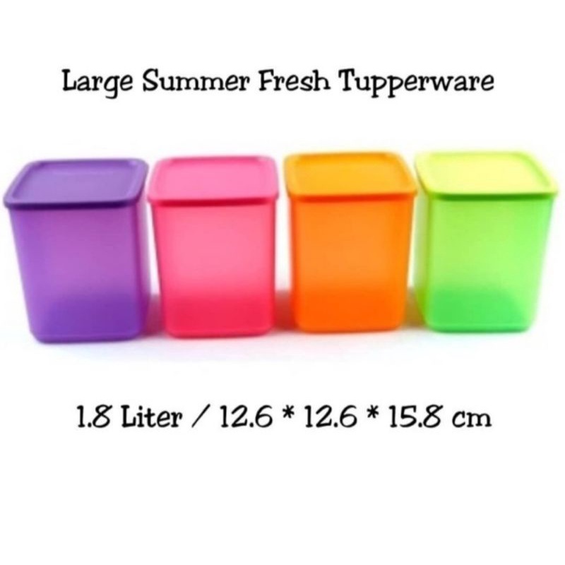Jual Large summer fresh Tupperware | Shopee Indonesia