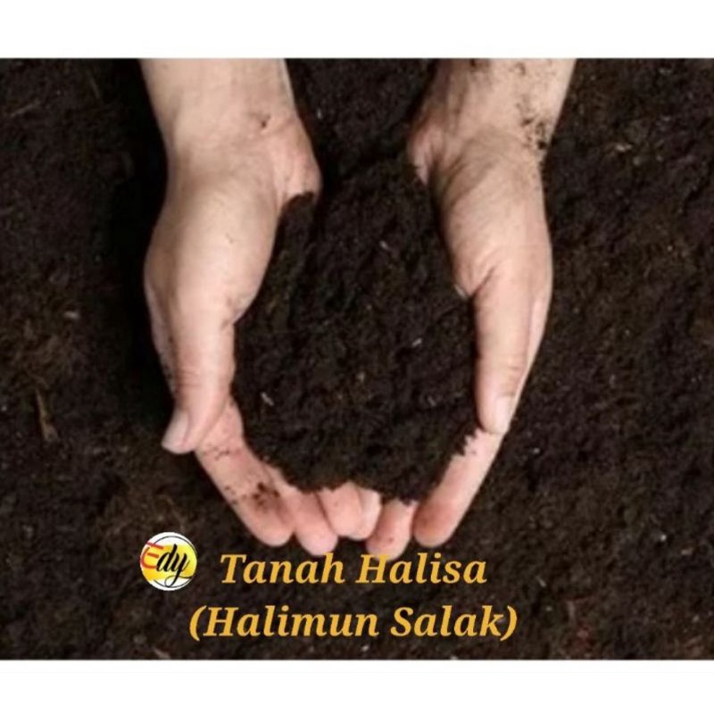 Jual Tanah humus paket 10kg | Shopee Indonesia