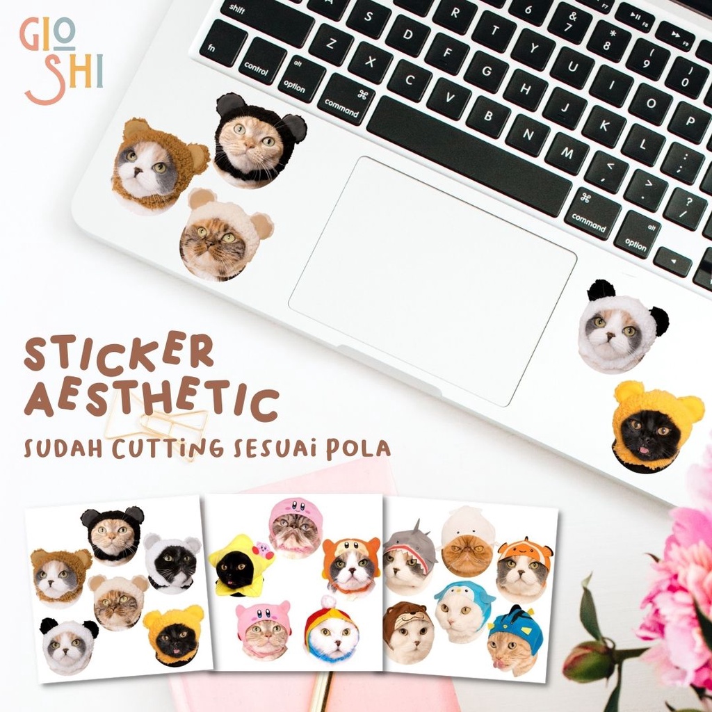 Jual stiker aesthetic Cute Cat by Gioshi.Store | Shopee Indonesia