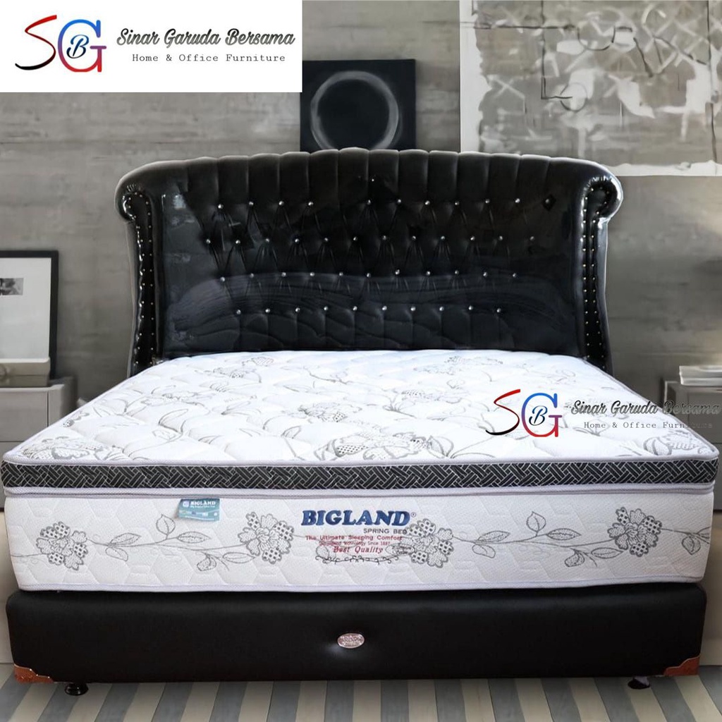 Jual BIGLAND KASUR SPRING BED EMPUK PLATINUM SERIES / BIGLAND TIPE ATAS ...