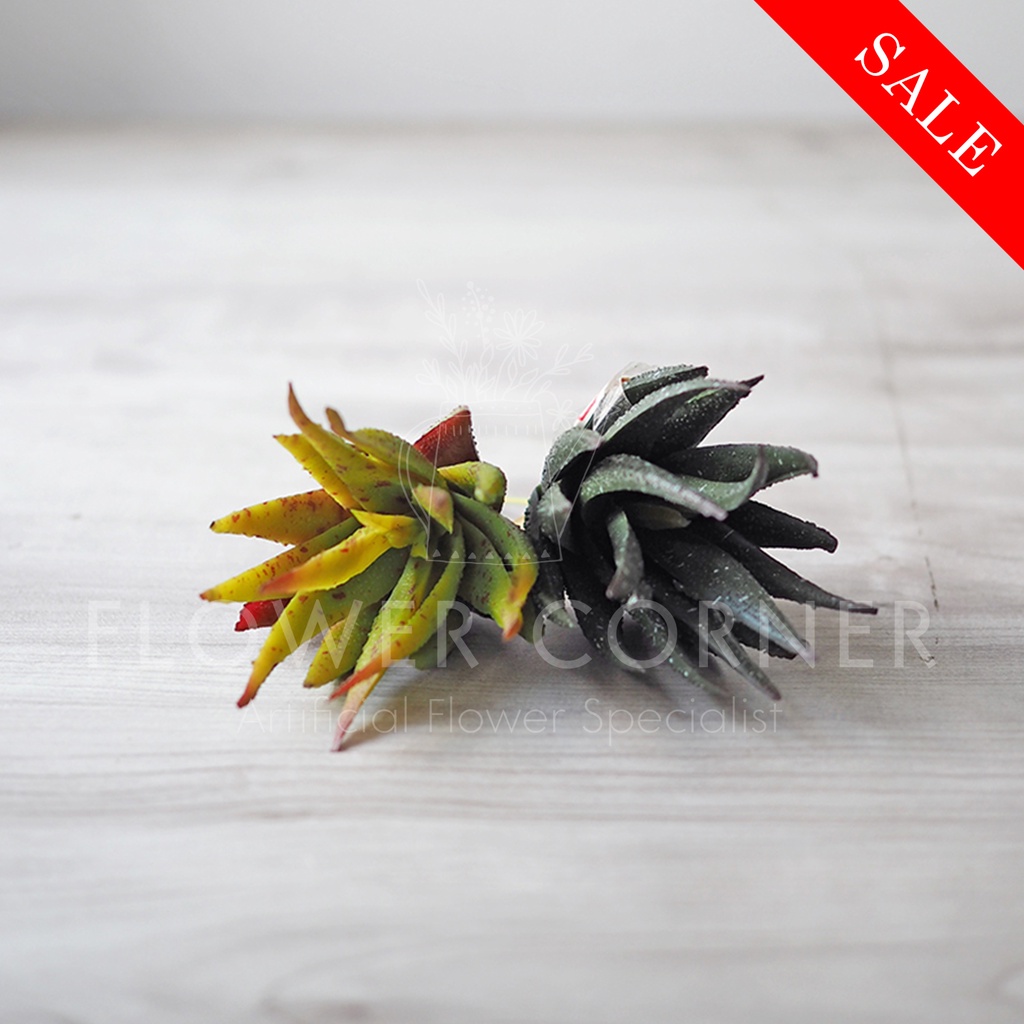 Jual Kaktus Sukulen Zebra / Artificial Castus Succulent Zebra (B19009 ...