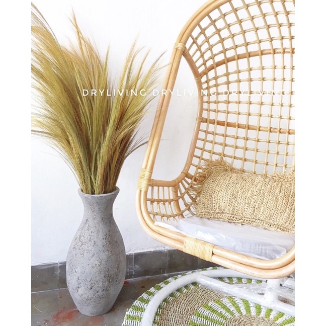 Jual RAYUNG JUNTAI | Shopee Indonesia