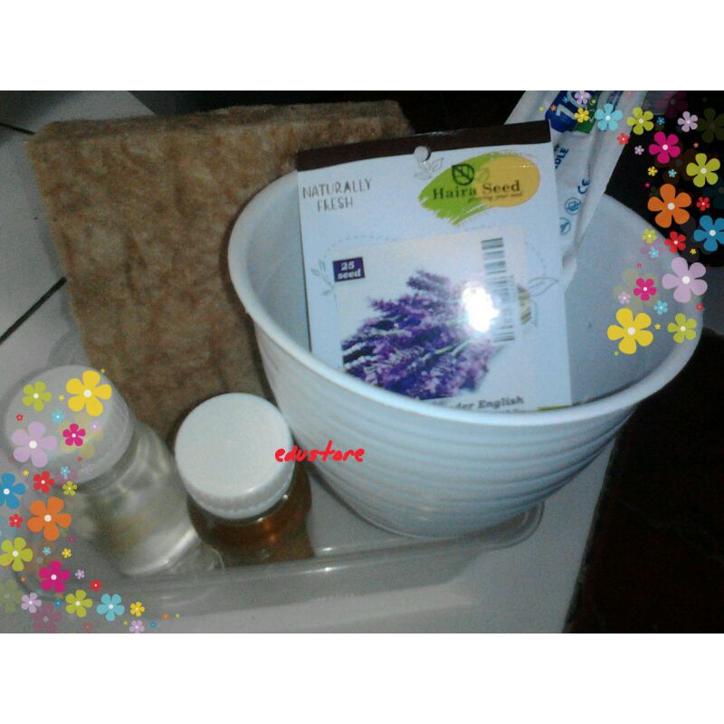Jual Paket Hidroponik Bunga Lavender Pot Tawon 12 cm | Shopee Indonesia