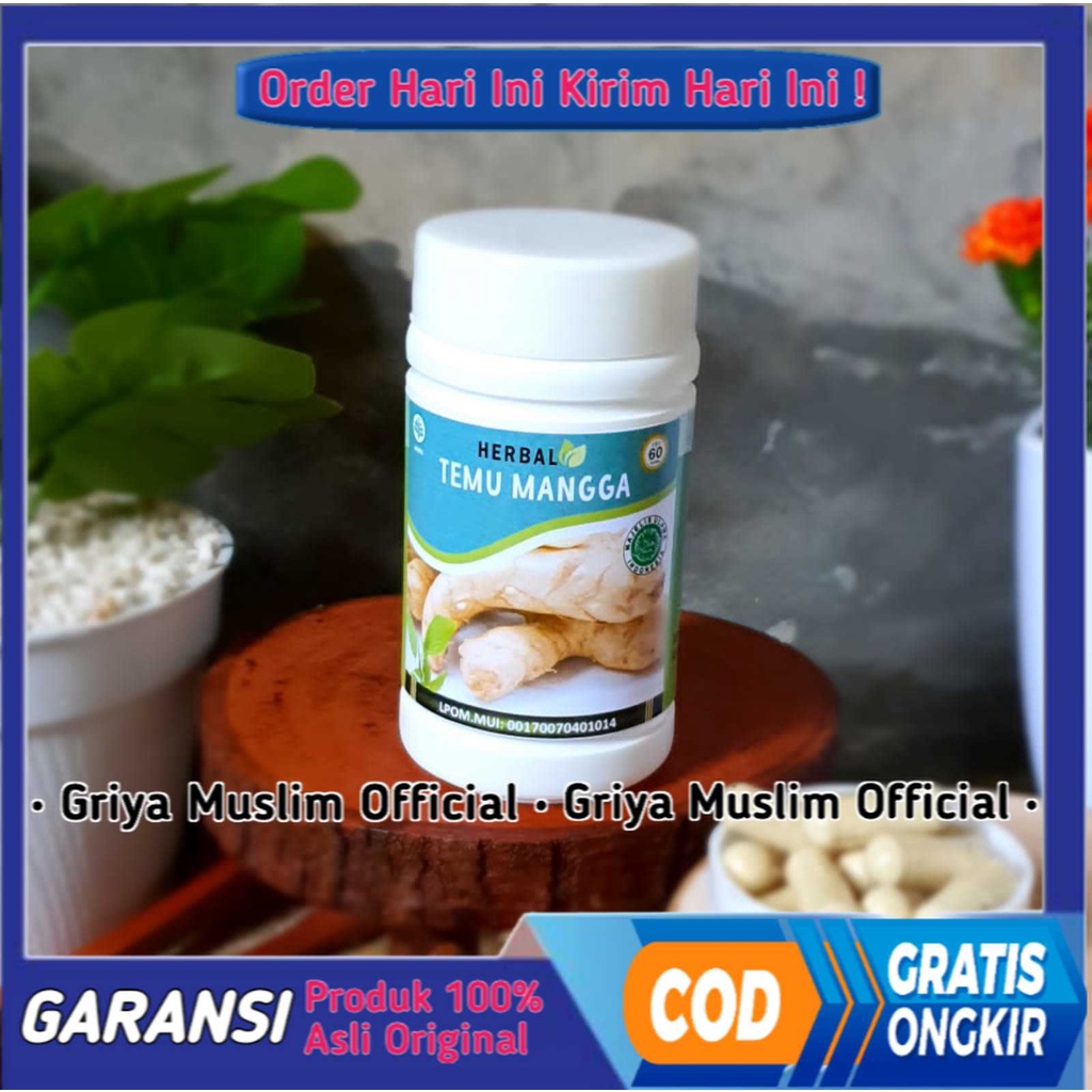 Jual TEMU MANGGA Kapsul isi 60 Herbal Menguatkan Rahim Kaya Antioksidan ...