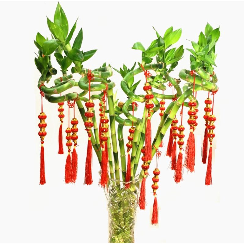 Jual lampion gantung/hiasan pohon imlek/tassel lampion/hiasan imlek ...