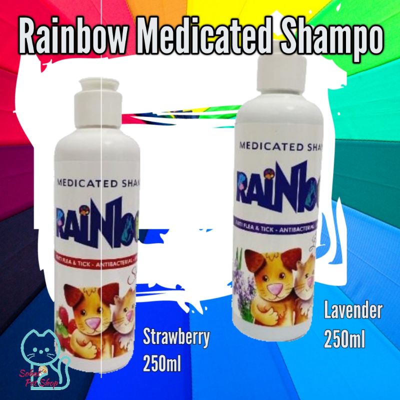 Jual shampoo rainbow medicated | Shopee Indonesia